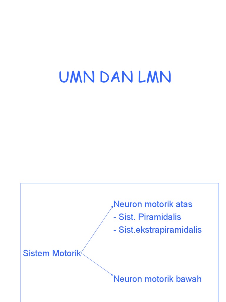 Lmn Dan Umn Pdf