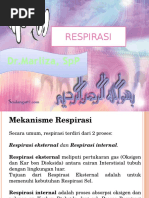 Ventilasi dan Perfusi Paru: Proses Gas | PDF | Pernapasan | Pembuluh Darah