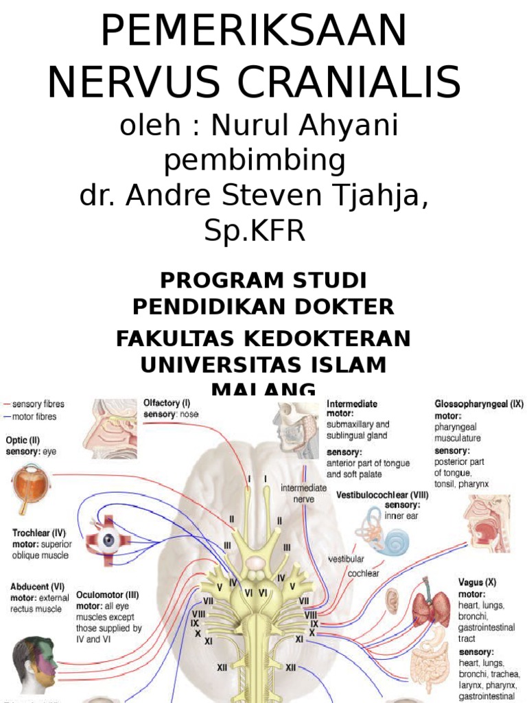 Pemeriksaan Nervus Cranialis PPT