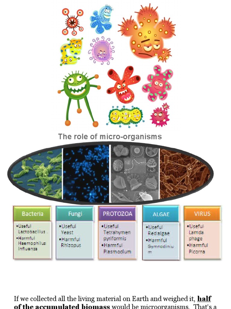 The Role of Micro-Organisms | Microorganism | Bacteria