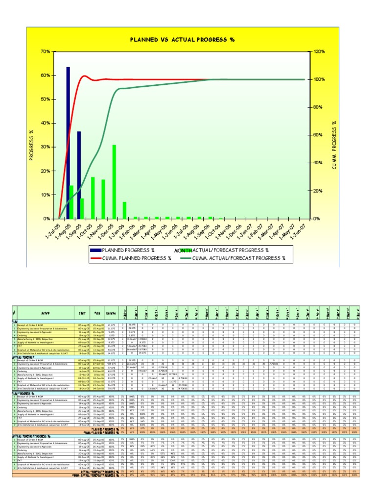 Planned vs Actual Progress Report | PDF | Business
