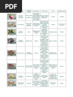 Salsas Madres y Sus Derivados | PDF | Salsa | Cocina mediterranea