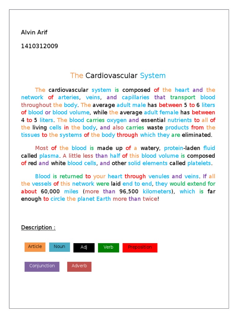 Cardiovascular System Overview | PDF