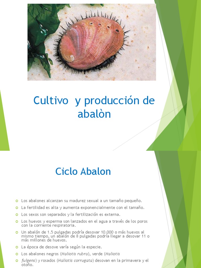 Cultivo de Abalon | PDF | Bienestar | Medicina