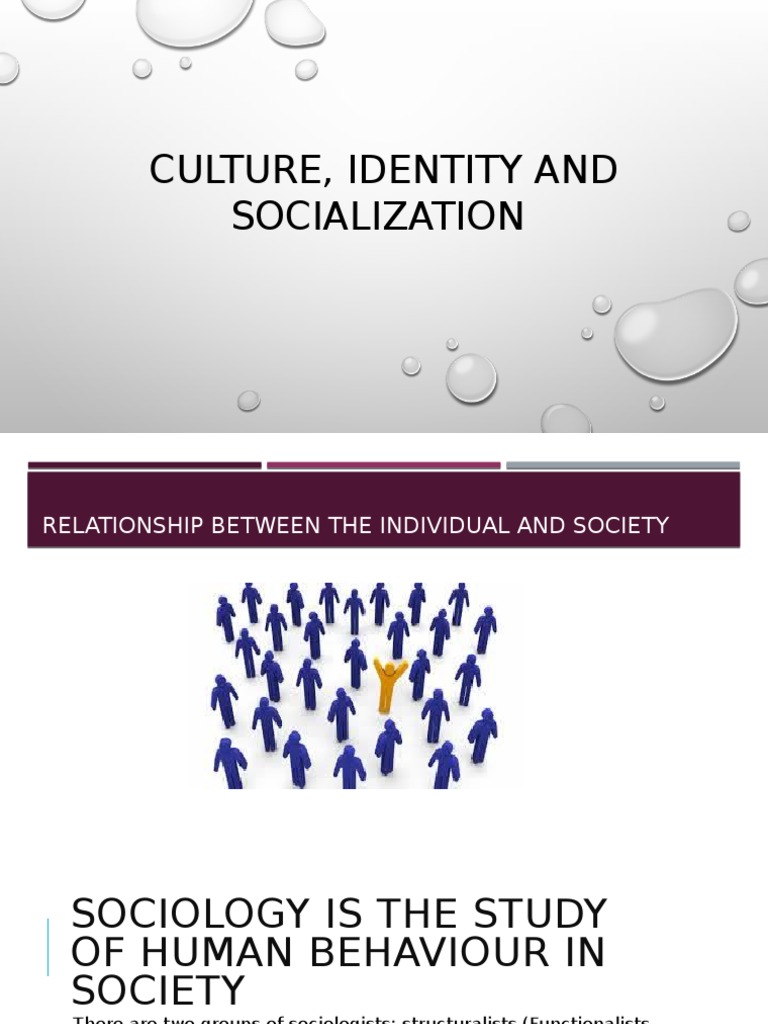 Culture, Identity, and Socialization in Society | PDF | Socialization ...