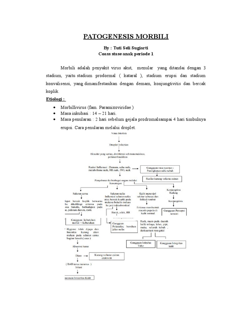 Patogenesis Morbili | PDF