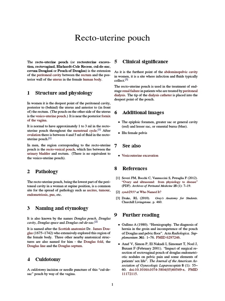Recto Uterine Pouch | PDF | Pelvis | Medical Specialties