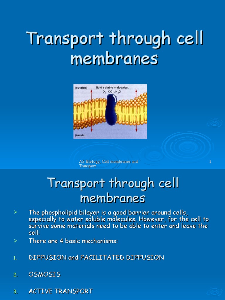 Cell Membrane Transport | PDF | Cell Biology | Cell Membrane