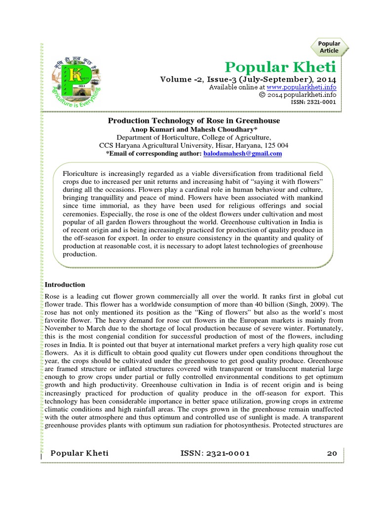 Production Technology of Rose in Greenhouse | PDF | Greenhouse | Rose
