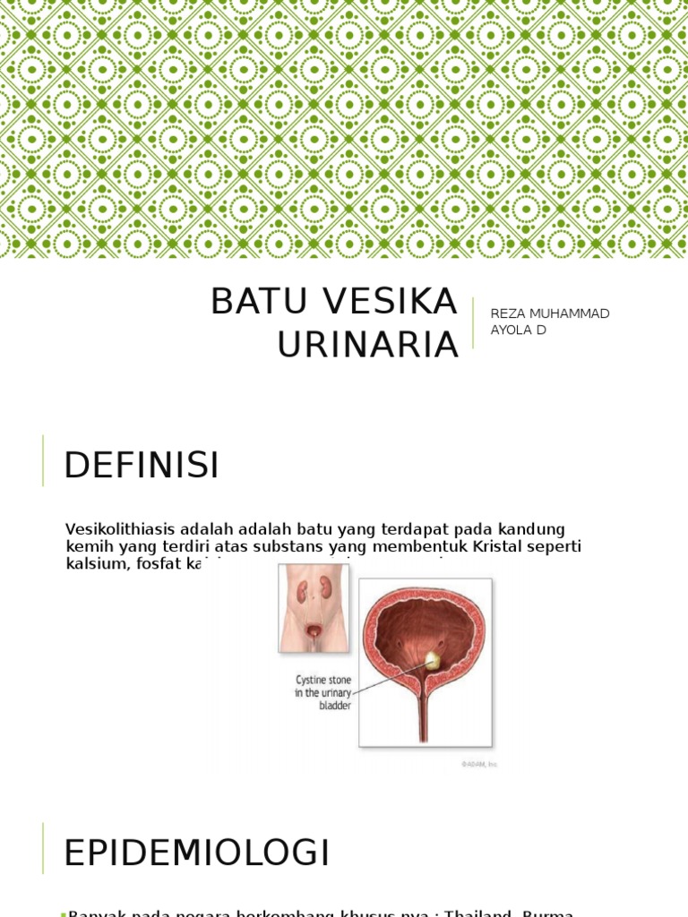 Batu Vesika Urinaria-1 | PDF
