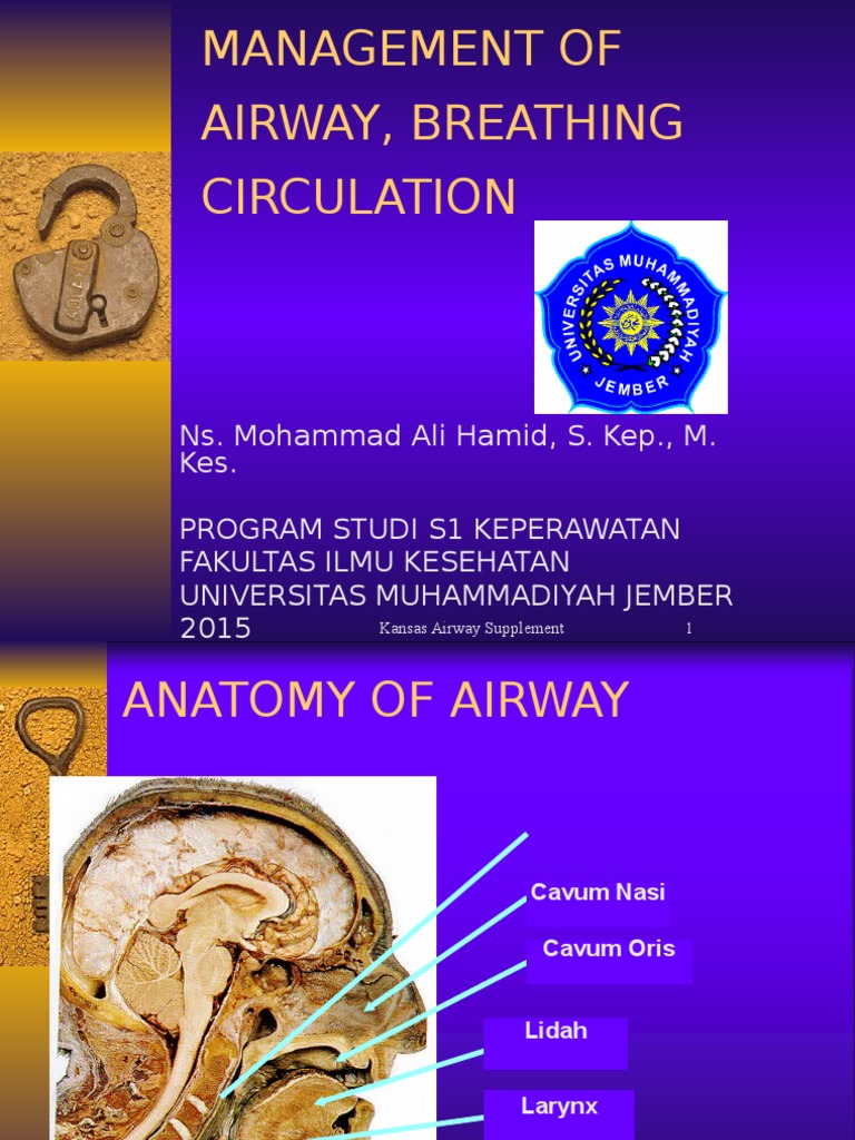 Management of Airway, Breathing Circulation | PDF | Circulatory System ...