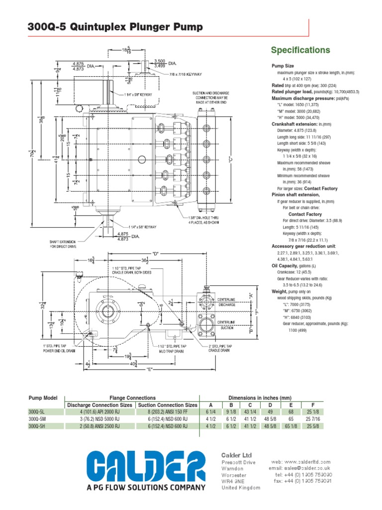 300Q-5 Quintuplex Plunger Pump | PDF | Pump | Gear