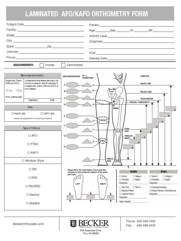 AFO Orthometry Form | Lower Limb Anatomy | Musculoskeletal System