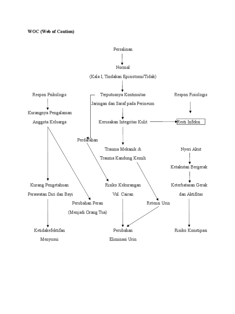 WOC Persalinan Normal | PDF