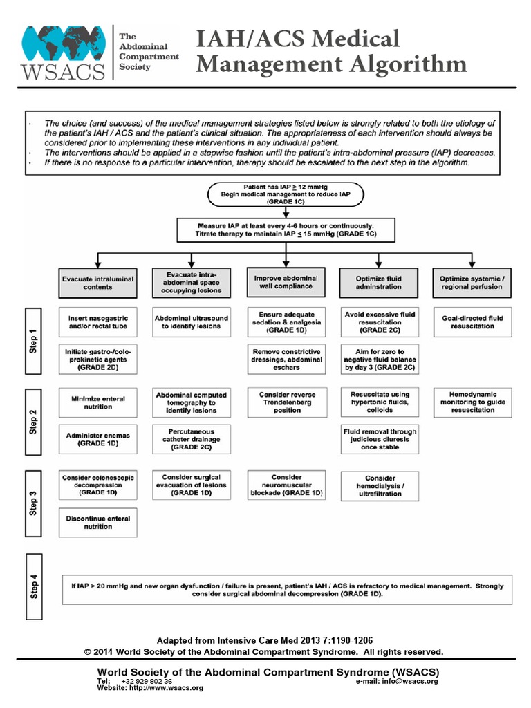 IAH ACS Medical Management 2014 | PDF