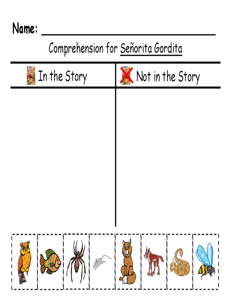Graphic Organizer For Senorita Gordita | PDF