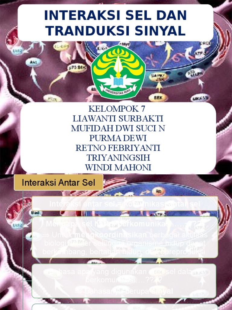Interaksi Sel | PDF
