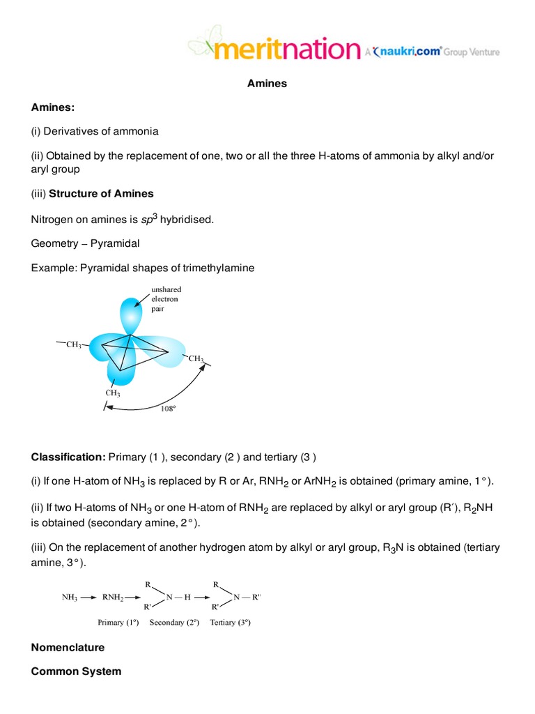 Amines Pdf Amine Chemical Reactions