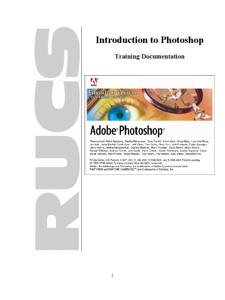 Photoshop Basics: Tools & Layers Guide | PDF
