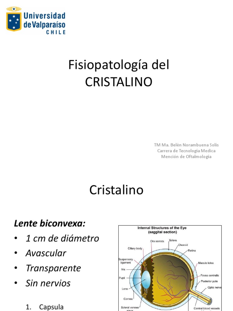 Cristalino | PDF | Catarata | Ojo humano