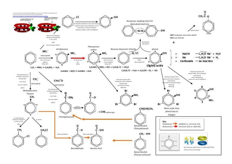 Benzene Reaction Flow Chart | PDF