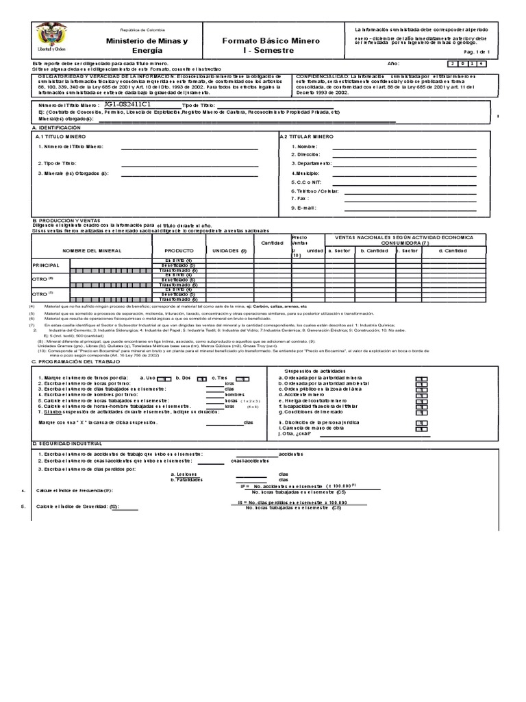 Formato Basico Minero | Minería | Industrias
