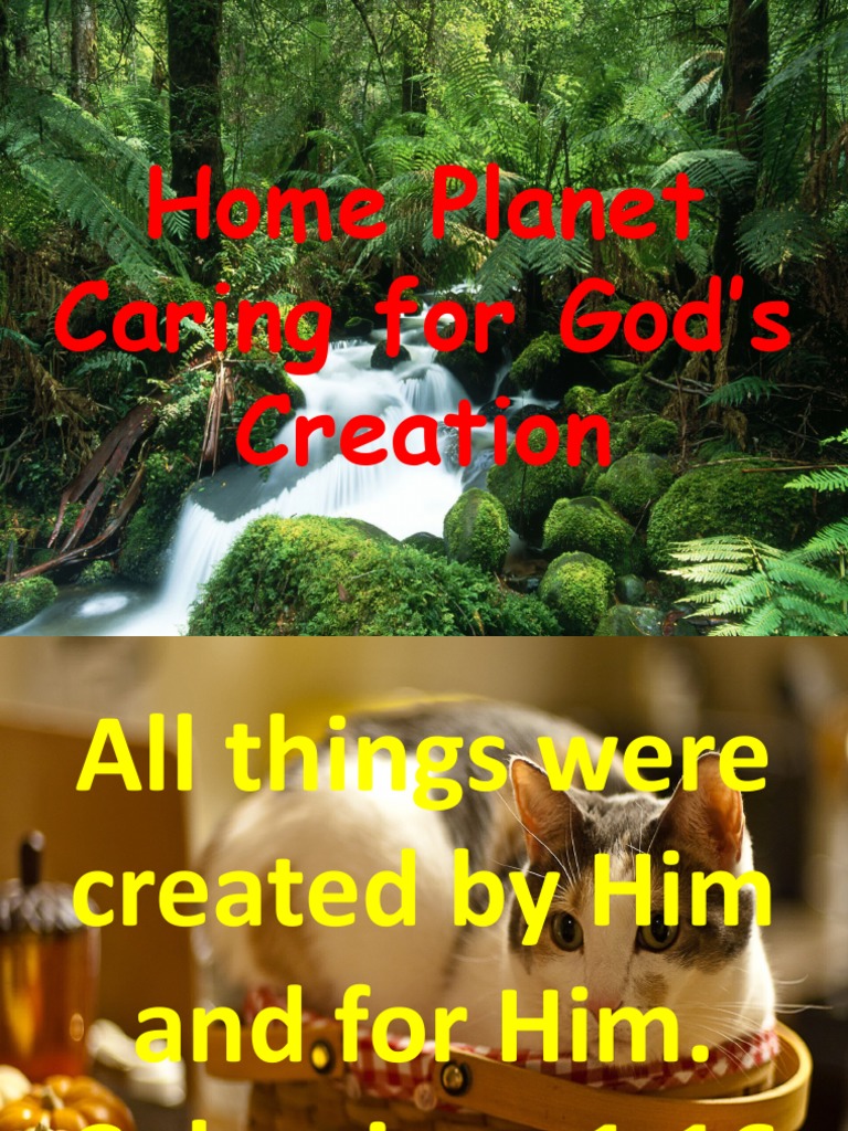 Home Planet Caring For God's Creation | PDF | God | Theology