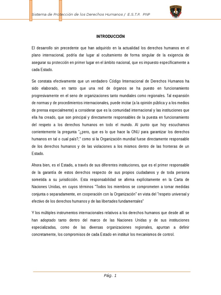 Sistema de Protección de Los Derechos Humanos | PDF