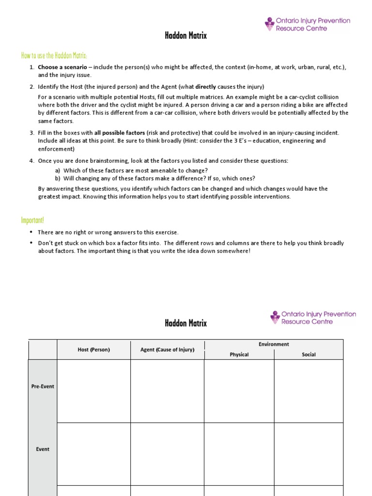 How To Use The Haddon Matrix | PDF