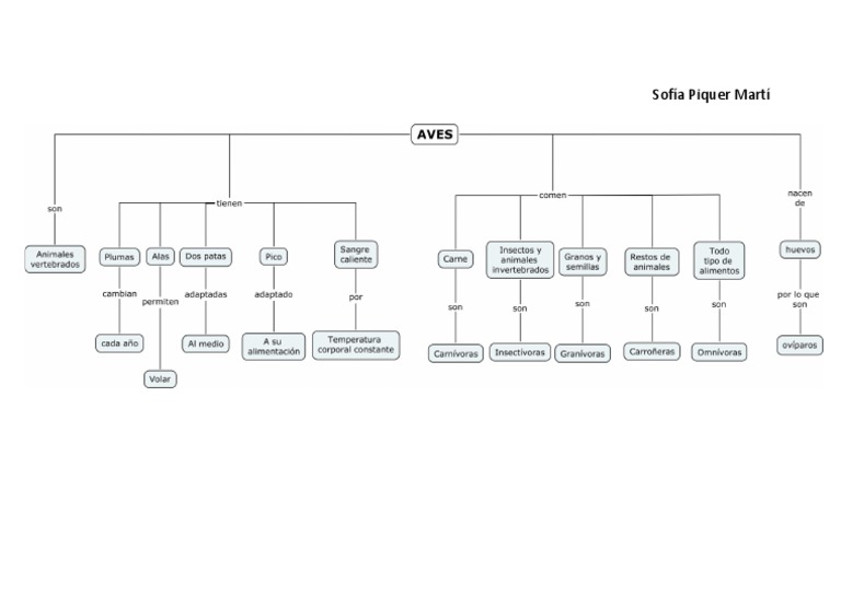 Mapa Conceptual Aves | PDF
