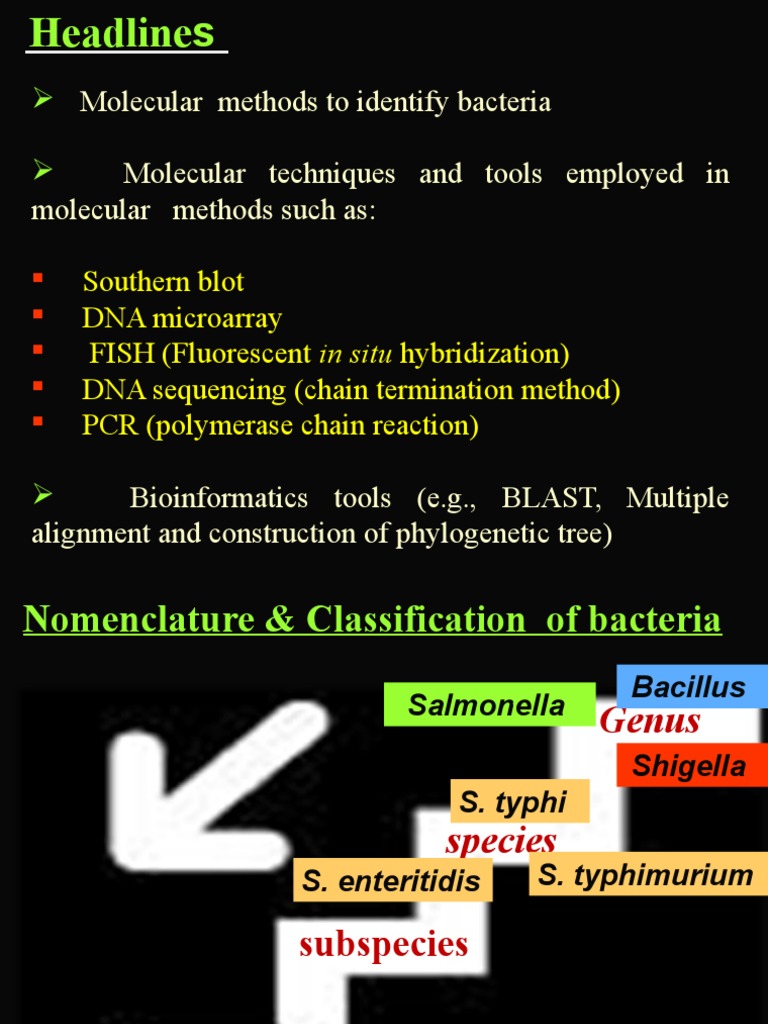 Molecular Identification of Bacteria IIII 2015 | PDF | Ribosomal Rna ...