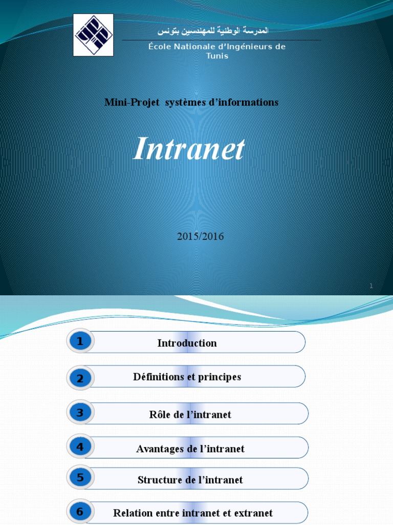 Guide sur l'Intranet et Extranet | PDF | Internet | Internet et Web