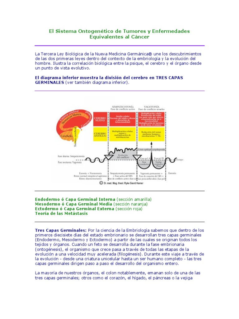 Tercera Ley Biologica DR Hamer | PDF | Metástasis | Cáncer