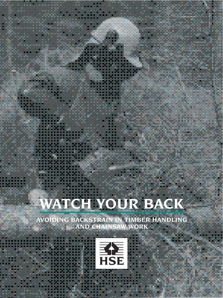 Indg145 - Watch Your Back | PDF | Injury