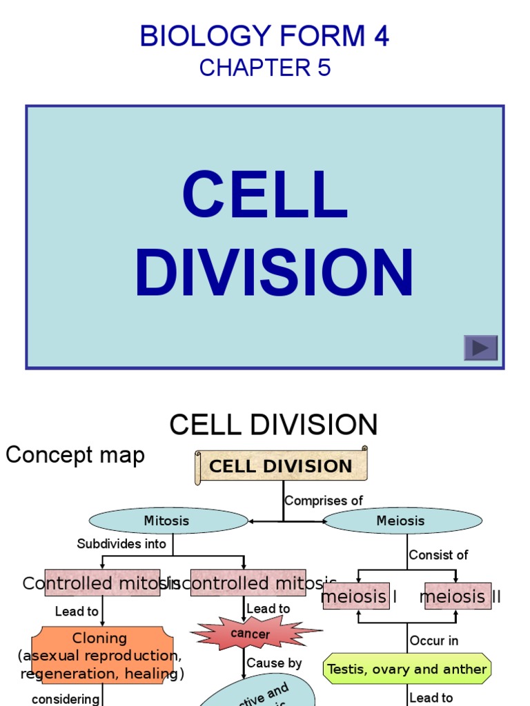 Cell Reproduction Concept Map
