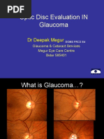 Efron Grading Scale Us Insert | PDF | Science & Mathematics