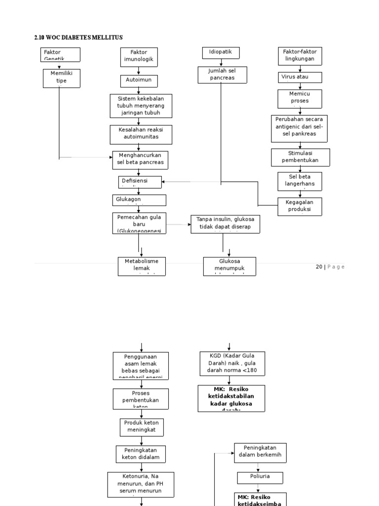 Woc DM | PDF | Memasak, Makanan, & Anggur