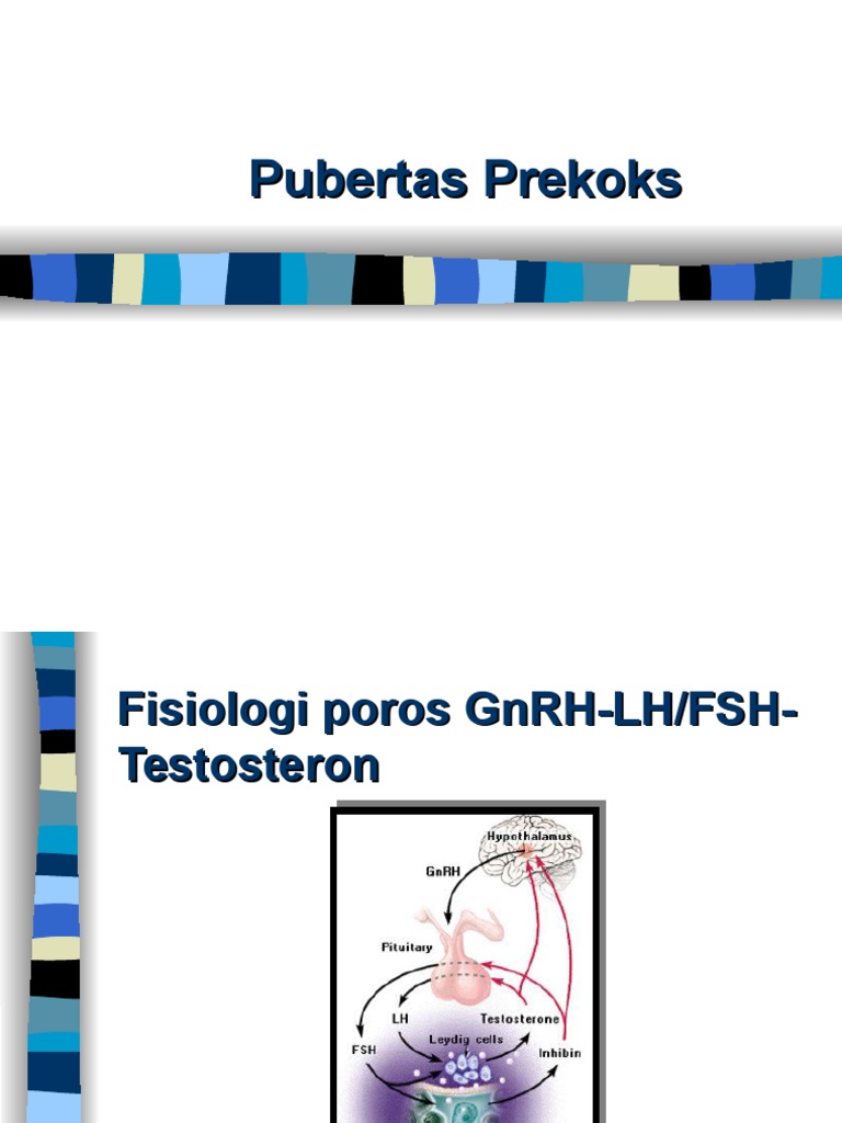 Pubertas Prekoks | PDF
