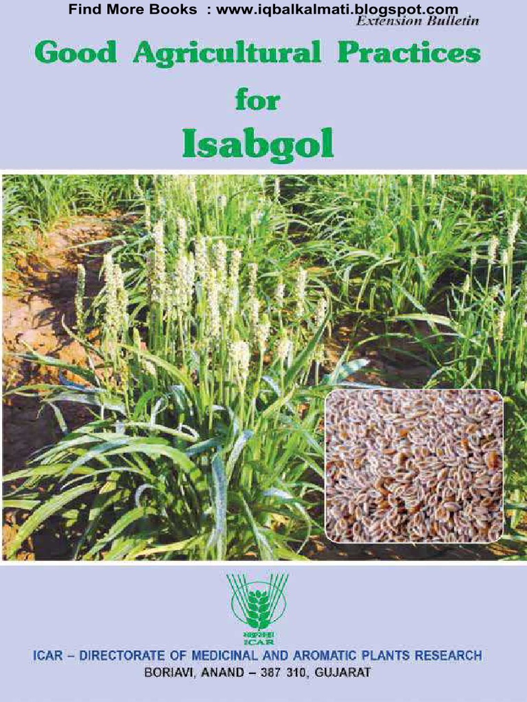 Isabgol Uses | PDF | Sowing | Soil