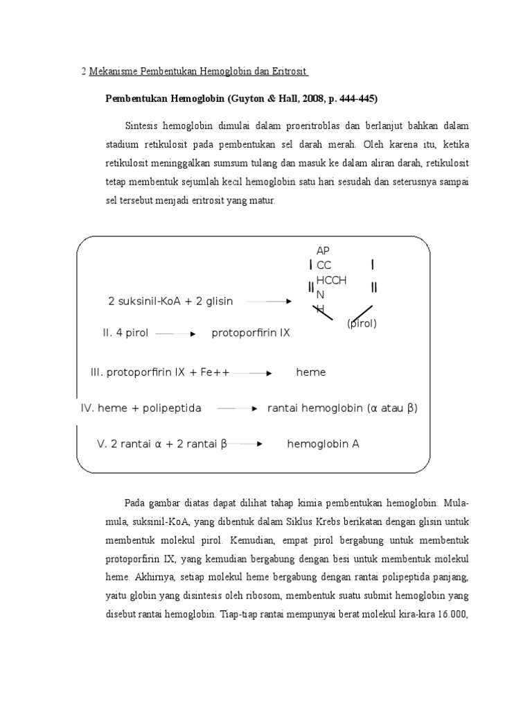 Mekanisme Pembentukan Hemoglobin Dan Eritrosit | PDF