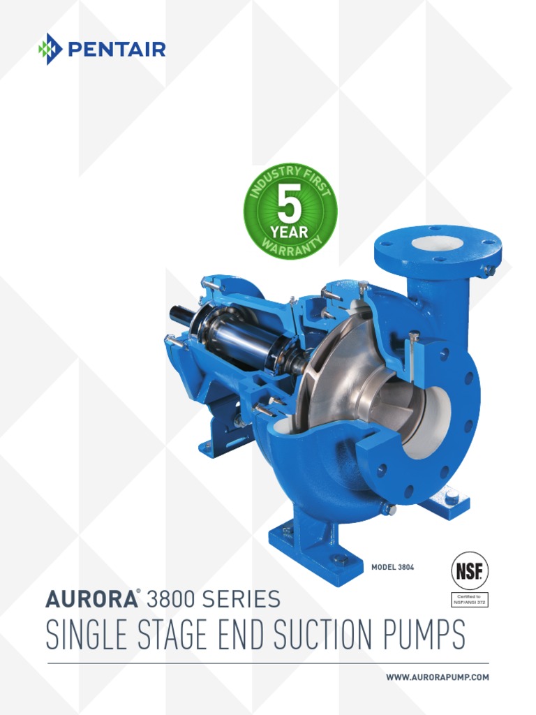 Aurora 3800 Series Pumps | PDF | Bearing (Mechanical) | Pump
