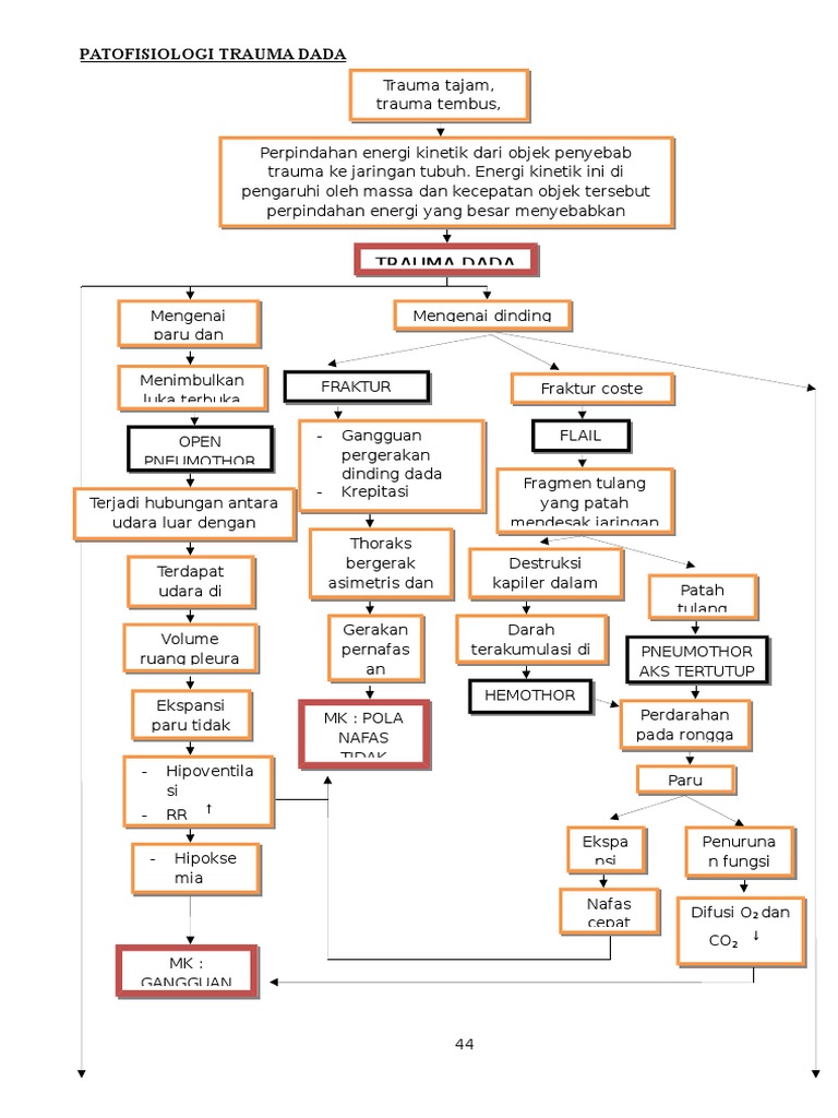 WOC Trauma Dada | PDF