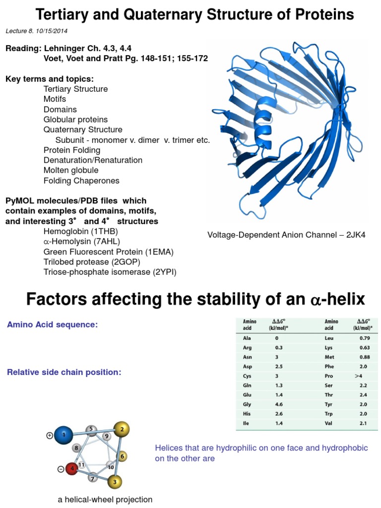 Protein Structure and Folding Lecture | PDF | Protein Structure ...