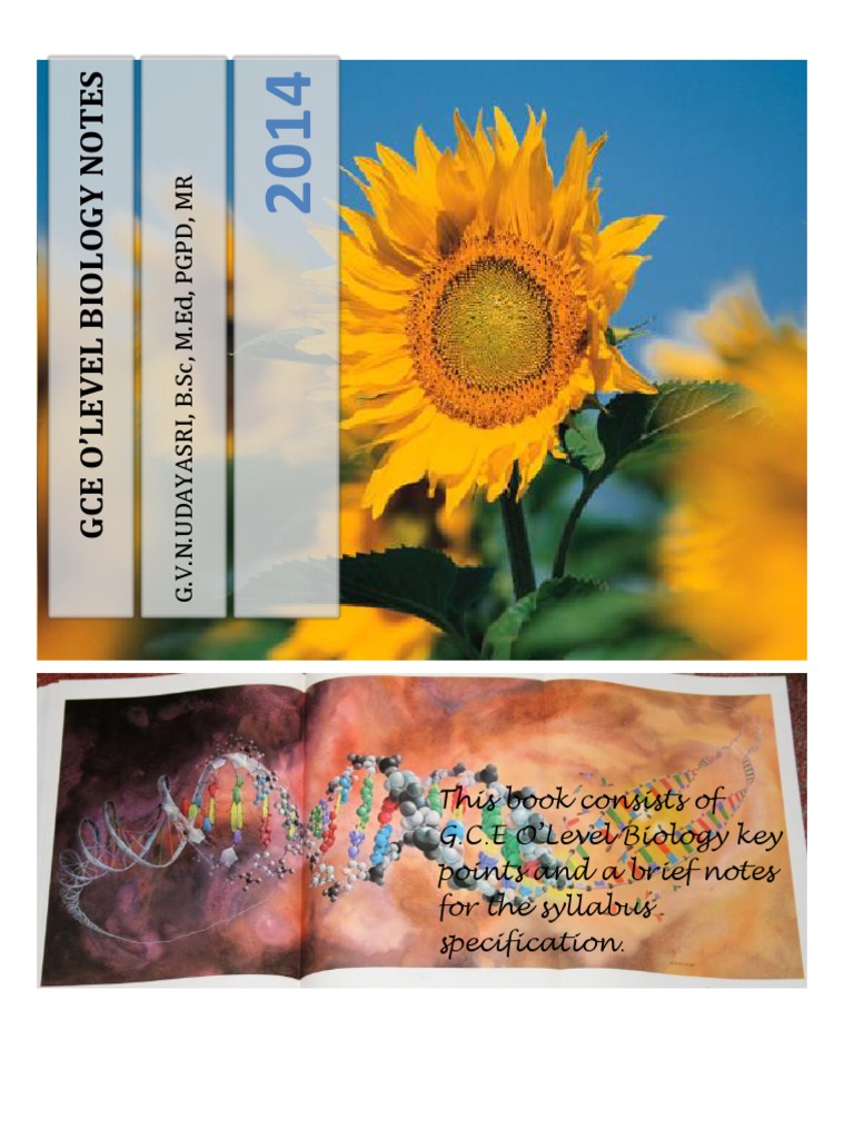 GCE O'Level Biology Key Notes | PDF | Heart | Circulatory System