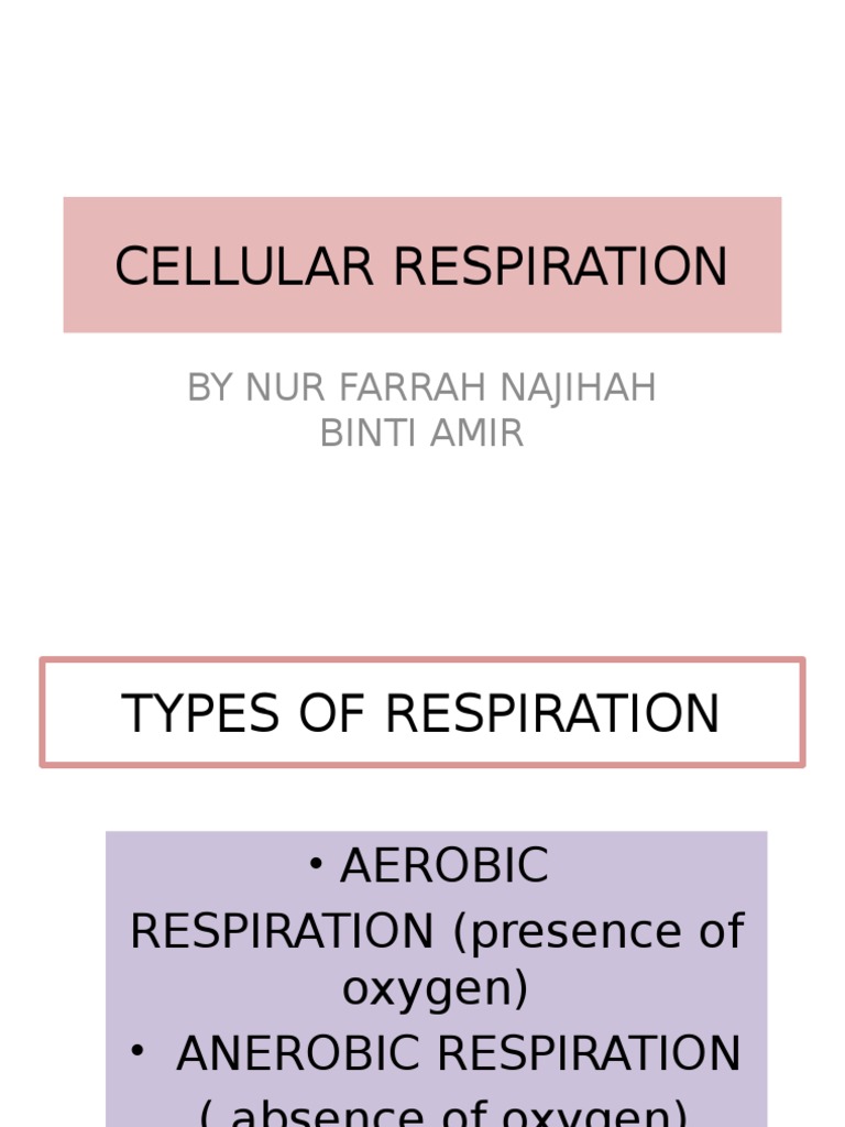 Aerobic vs Anaerobic Respiration | PDF