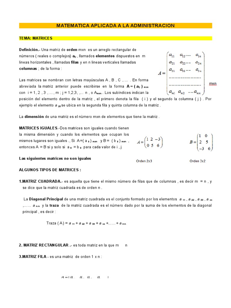 Matematica Aplicada A La Administracion Pdf Determinante Matriz 2913