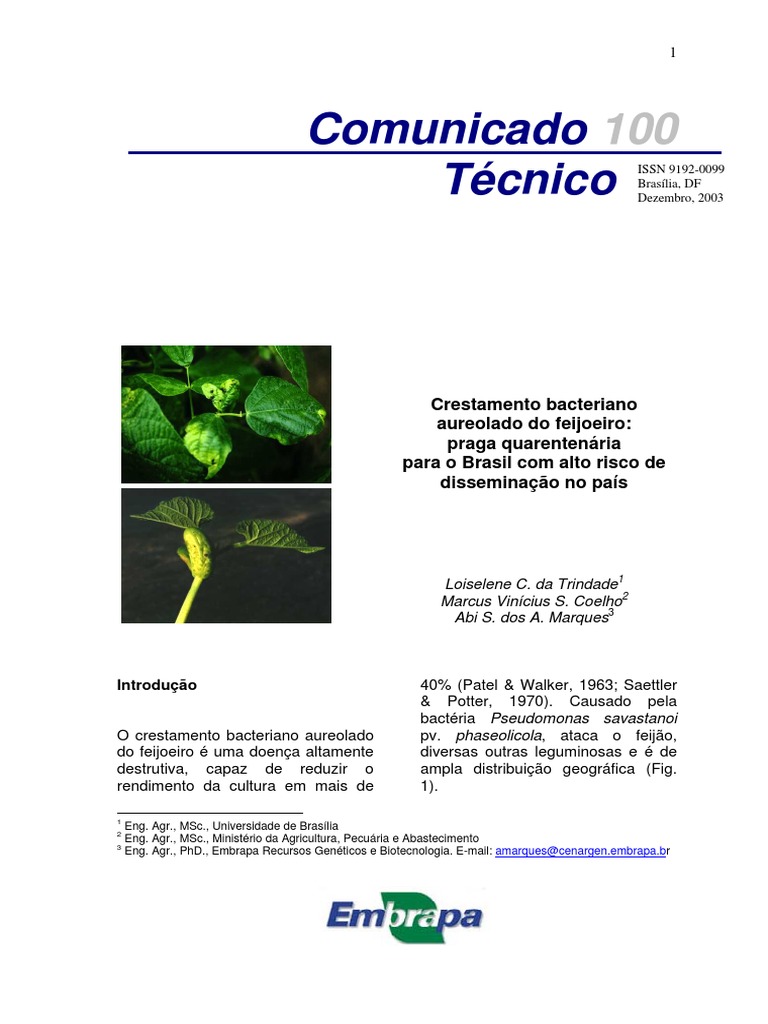 Cenargen - Crestamento Bacteriano Aureolado Do Feijoeiro - Praga ...