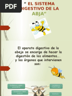 Sigmoidectomia Laparoscopica | PDF | Intestino grueso | Cirugía