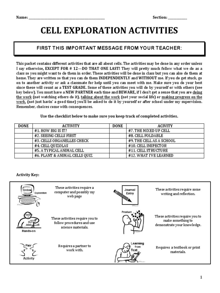 Cells Exploration Activities | PDF | Endoplasmic Reticulum | Cell Anatomy