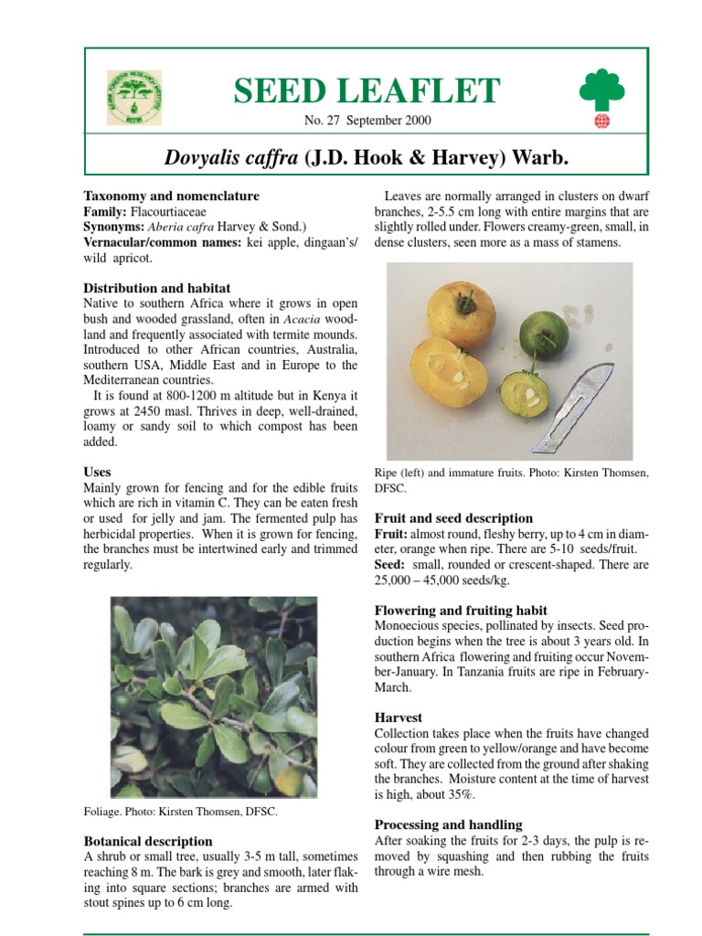 Dovyalis Caffra Int | PDF | Seed | Fruit